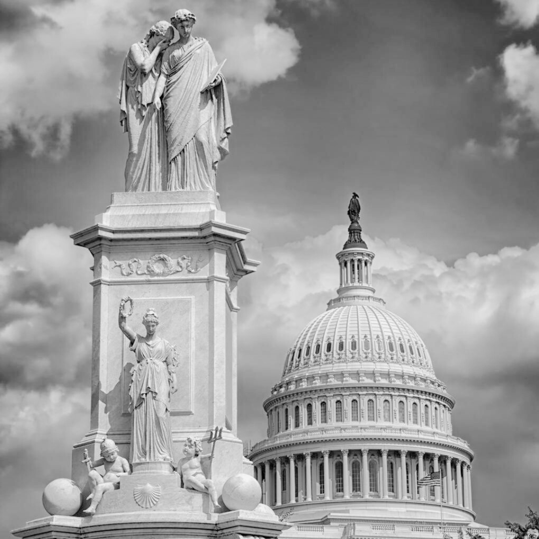 Browse Projects Bitarchitects